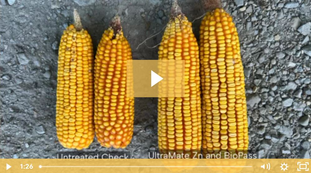 Agriculture News - The Andersons Nutrient & Industrial Group